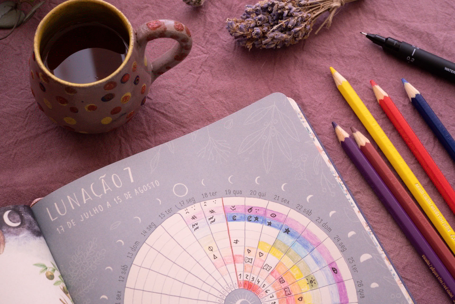 Mandala Lunar: um mapa para a saúde mental e emocional – Mandala Lunar