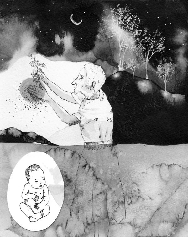 Bruxas e benzedeiras: faces do poder feminino e manutenção de saberes ...